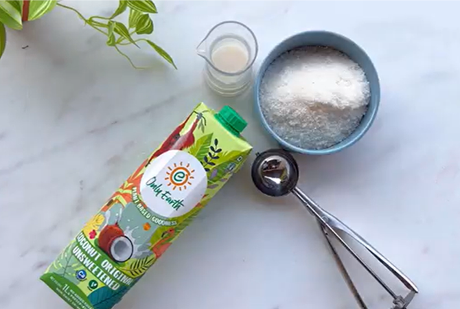 Coconut Milk Plant based Macaroon – Only Earth Store